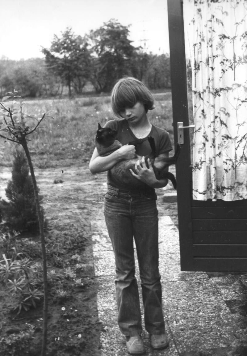 Cat | Constantia Oomen